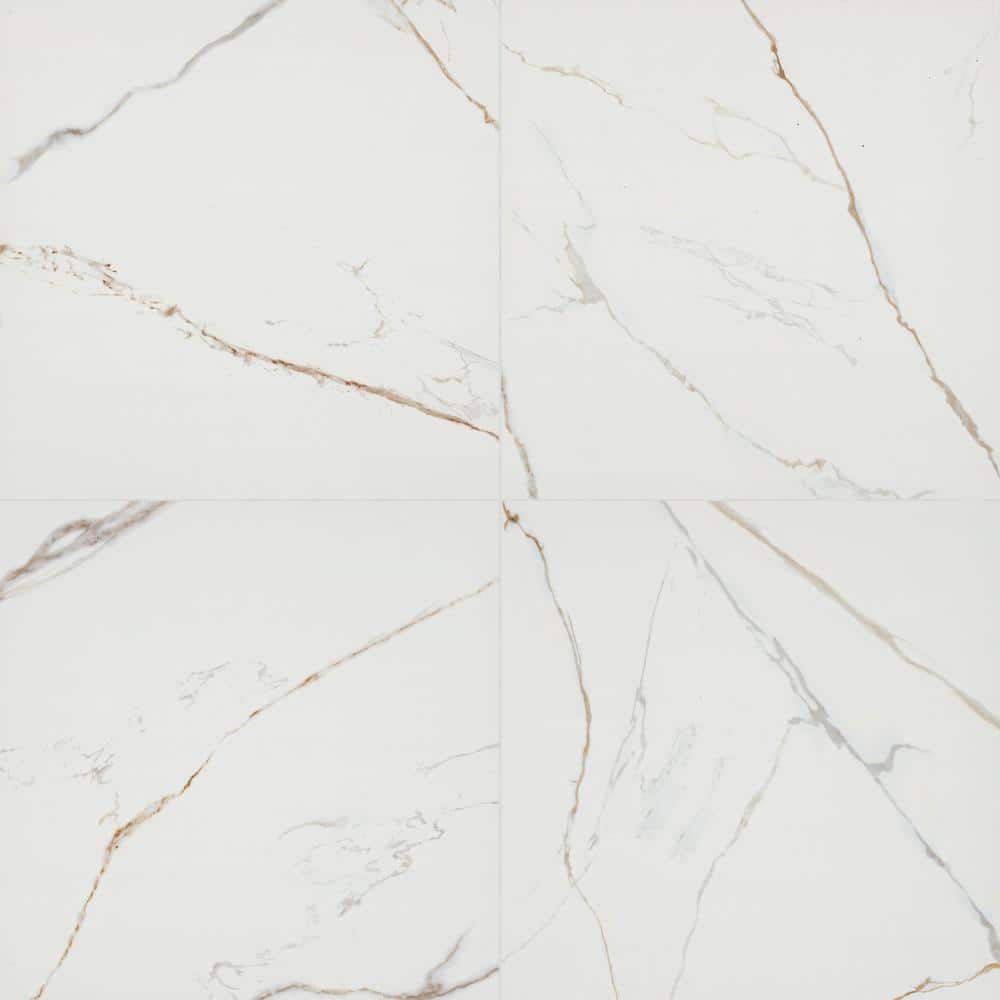 MSI Goldstream 28 in. x 28 in. Polished Ceramic Floor and Wall Tile (5. ...