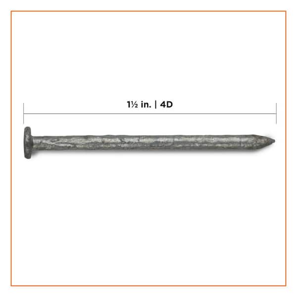 Galvanized Nail