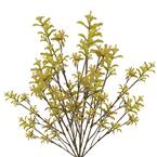 Globalrose 50 Yellow Roses- Fresh Flower Delivery 50-birthday-yellow ...