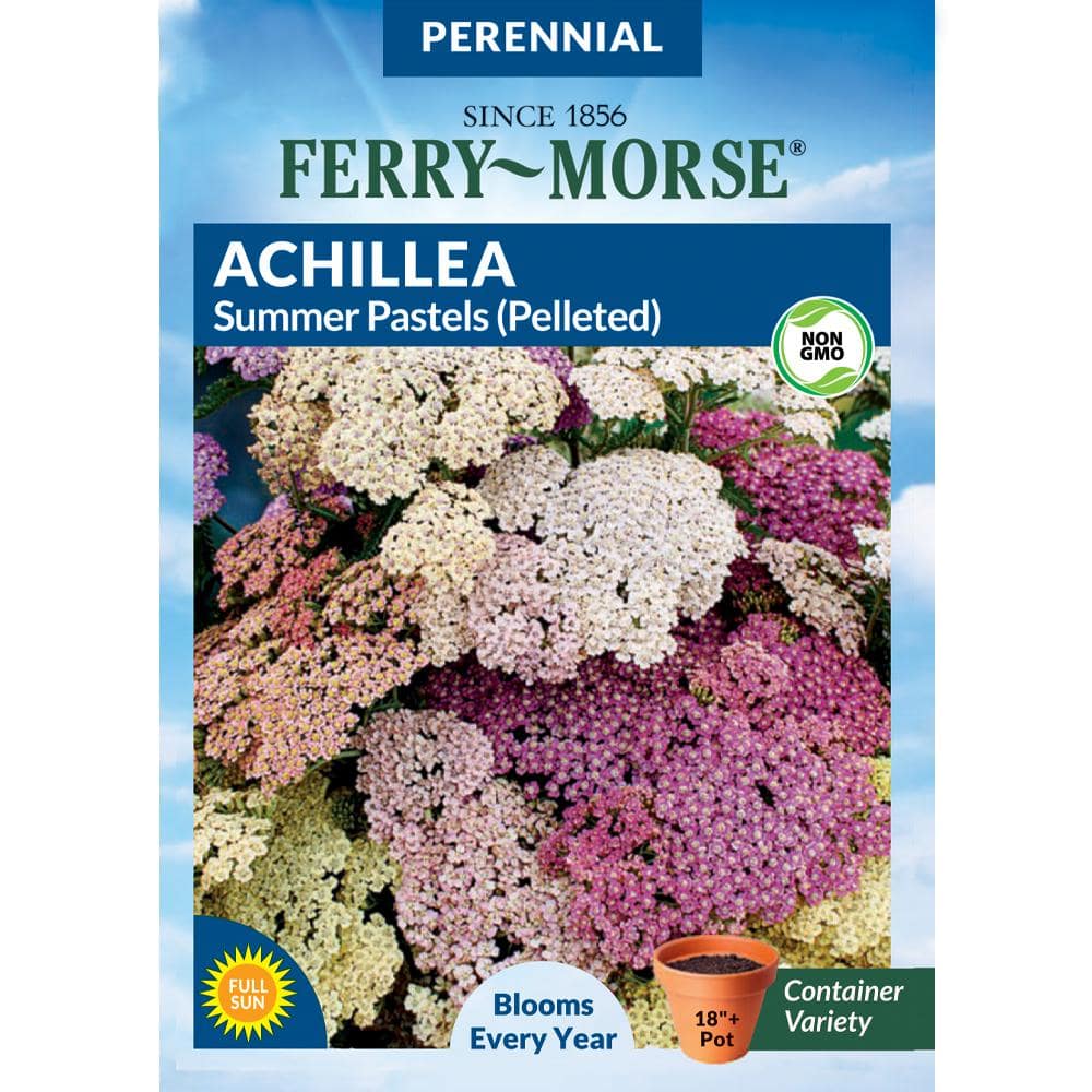 Ferry-Morse Achillea Summer Pastels Flower Seeds 4180 - The Home Depot