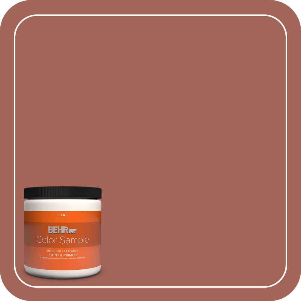 BEHR PREMIUM PLUS 8 oz. Home Decorators Collection #HDC-CL-08 Sun Baked ...
