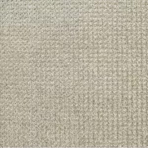 Home Decorators Collection 8 in. x 8 in. Pattern Carpet Sample - Lovely ...