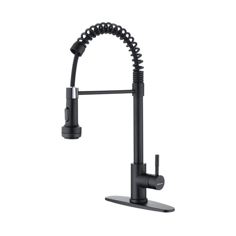 AMAZING FORCE RN Single Handle Pull Down Sprayer Kitchen Faucet with ...