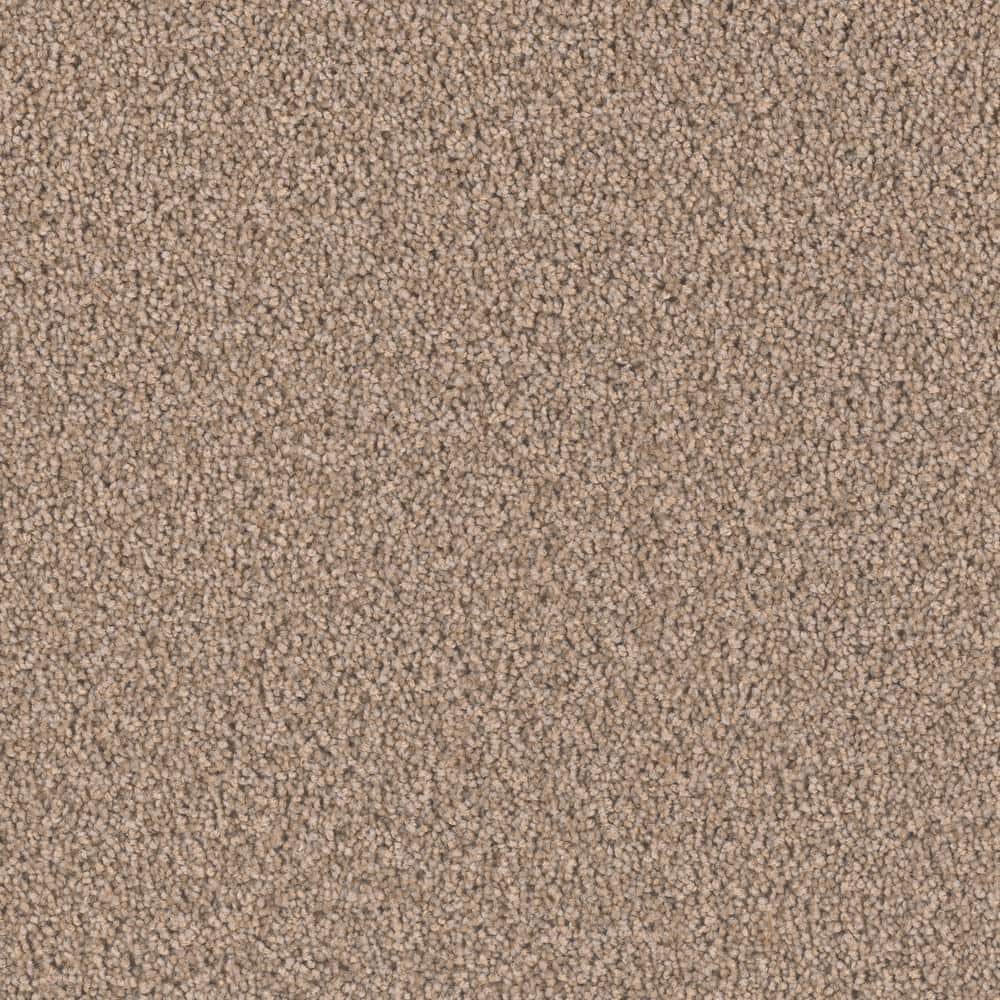 Home Decorators Collection 8 in. x 8 in. Texture Carpet Sample ...