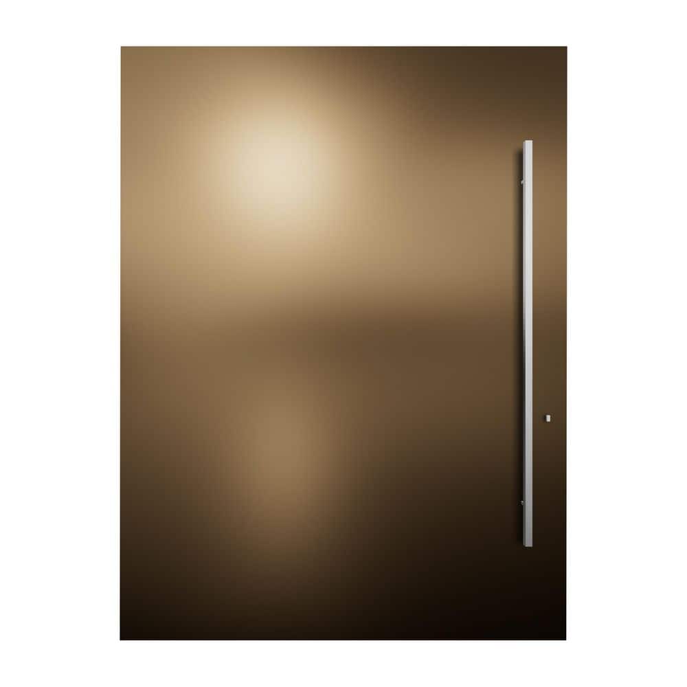 PANDA WINDOWS & DOORS Bordeaux 60 in. x 80 in. Left Hand Inswing Bronze ...