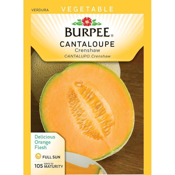 Burpee Melon Crenshaw WP Seed 64491 - The Home Depot