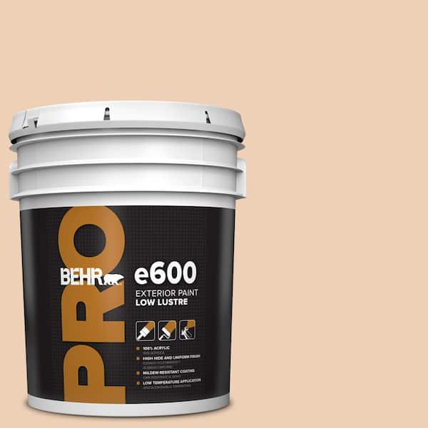 BEHR PRO 5 gal. #260E-2 Clamshell Low Luster Exterior Paint PR62005 ...