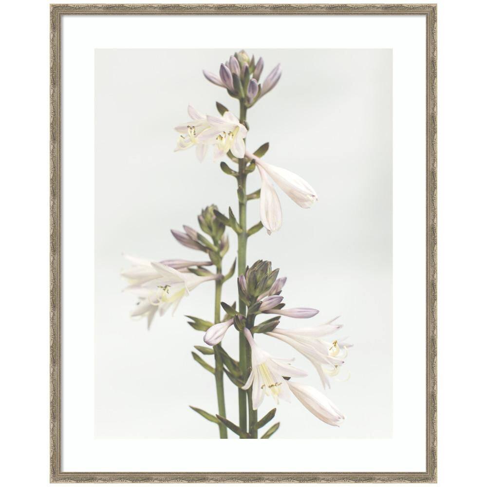 Kate and Laurel Mila "Hosta" by Alicia Abla Flowers Framed Art Print 42 ...