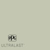 PPG UltraLast 5 gal. #PPG1030-2 Pale Pine Matte Interior Paint and ...