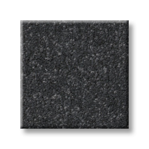 Lifeproof 8 in. x 8 in. Texture Carpet Sample - Blakely I -Color Basalt ...