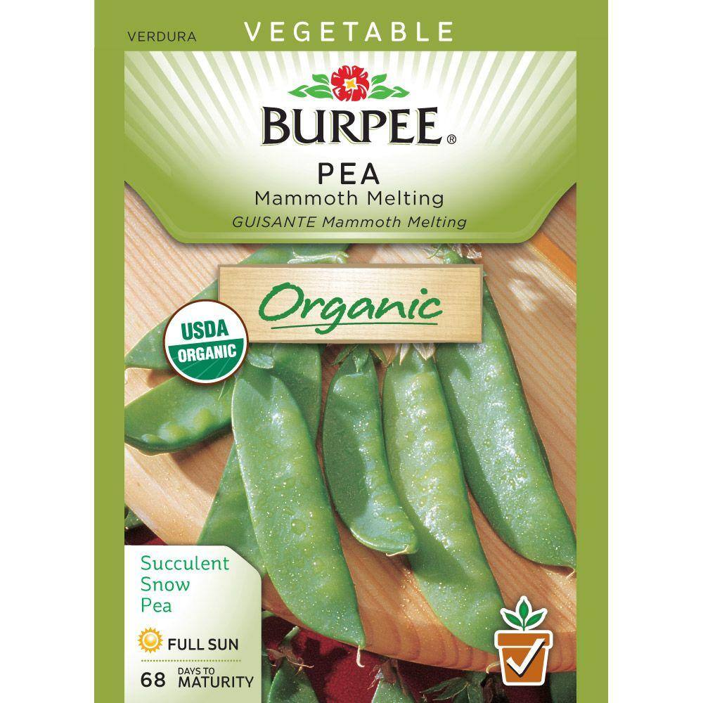 Burpee Organic Snow Pea Mammoth Melting Seed 68740 - The Home Depot
