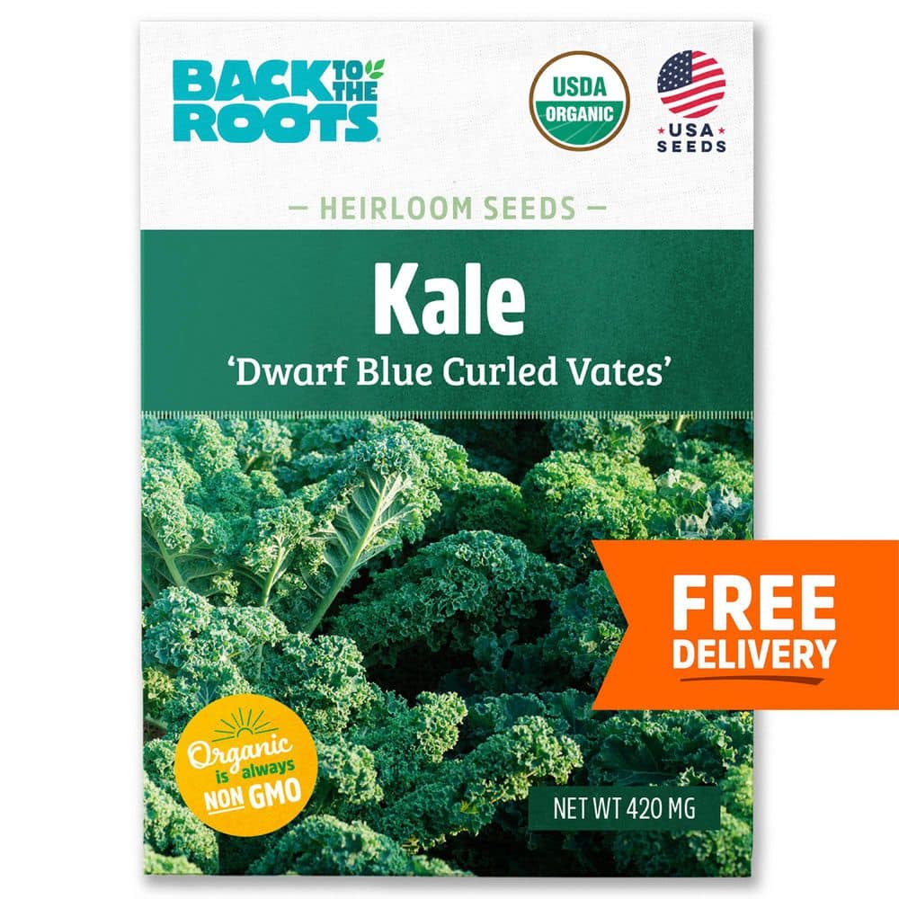 Back to the Roots Organic Dwarf Blue Curled Vates Kale Seed (1-Pack ...