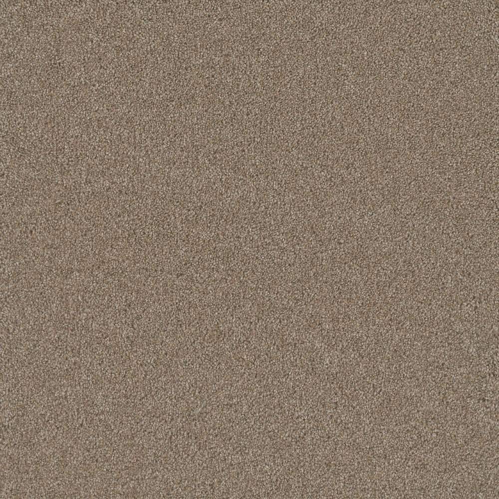 Lifeproof Misty Meadows III- Alpine Beige - 75 oz. SD Polyester Texture ...