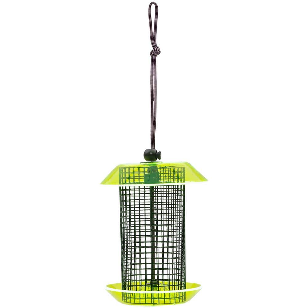 Birds Choice Small Sunflower Seed Feeder Color Pop Collection in Green ...