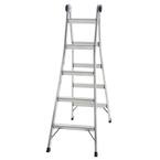 ANGELES HOME 12 ft. Reach Aluminum Folding 12-Step Multi-Position ...