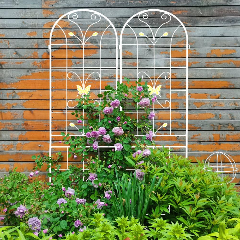 Tunearary 86 .7 in. x 19.7 in. Metal Outdoor Trellis Flower Bracket, 4 ...