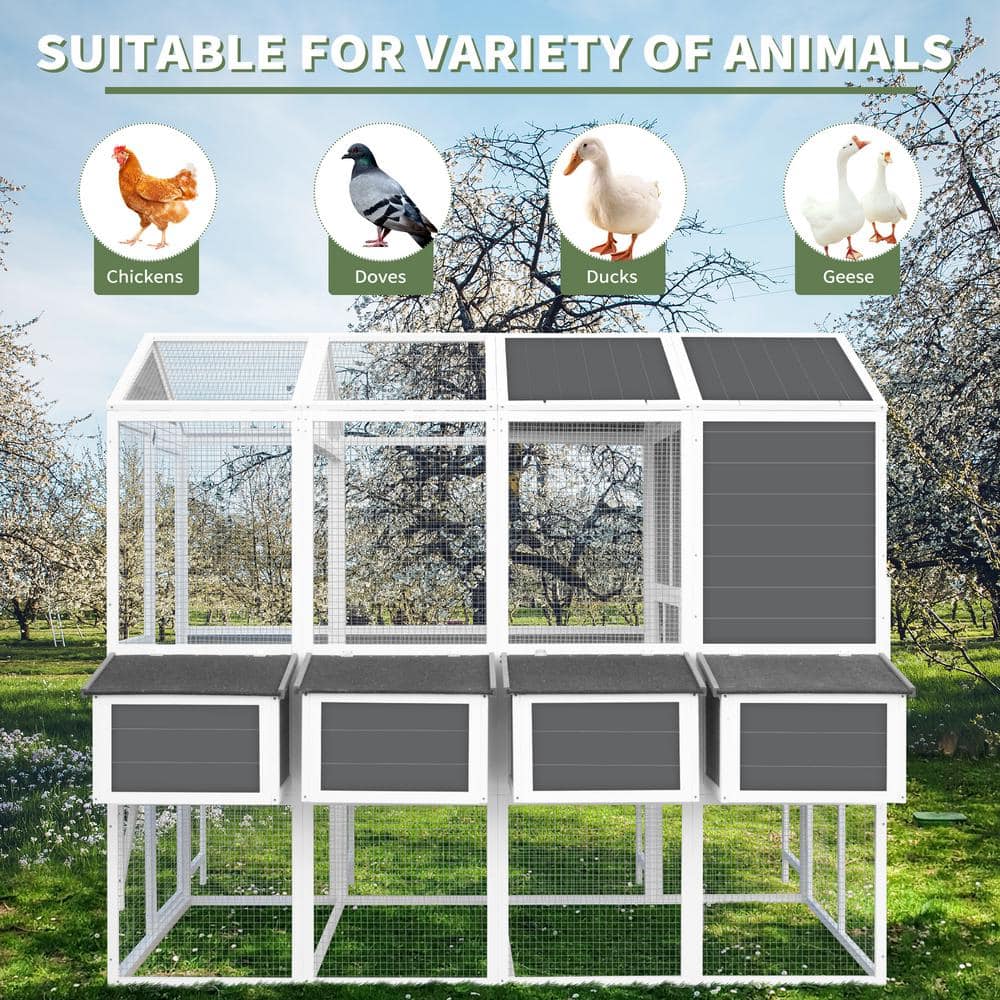 Large Chicken Coop with Chicken Run, Wooden Walk-in Chicken Coops for ...