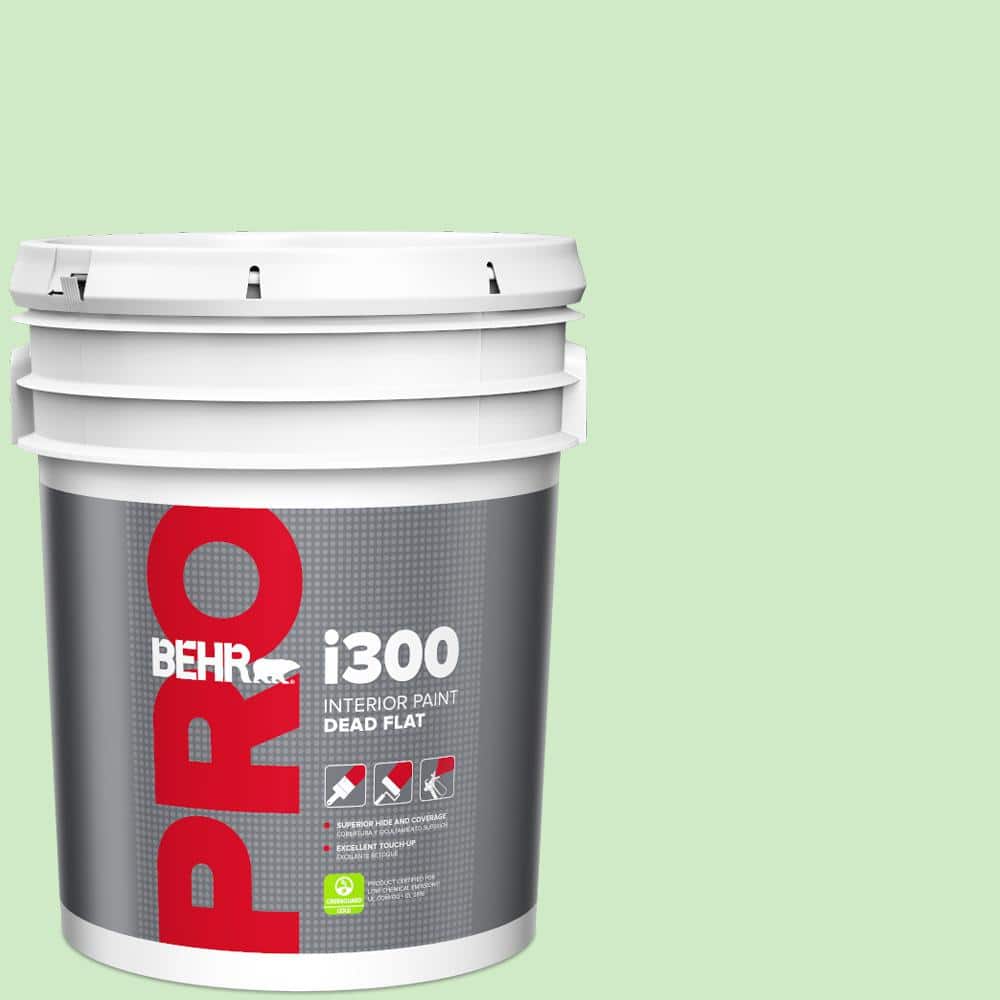 BEHR PRO 5 gal. #440A-3 Mint Frappe Dead Flat Interior Paint PR31005 ...