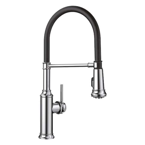 Blanco EMPRESSA Chrome 19.5 in. H Pull Down Sprayer Kitchen Faucet with ...