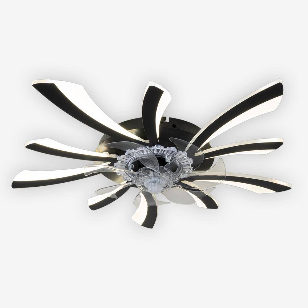 Tivleed 30.71 in./1.15 ft. 5 Petal Black Petal Dimmable Ceiling Fan ...