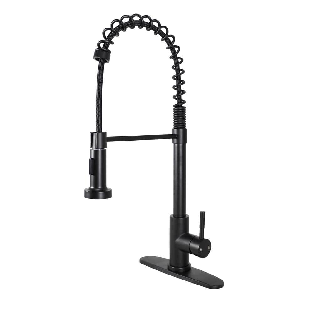 WASSERMAN FAUCETS Single Handle Pull-Down Kitchen Faucet with Spring ...