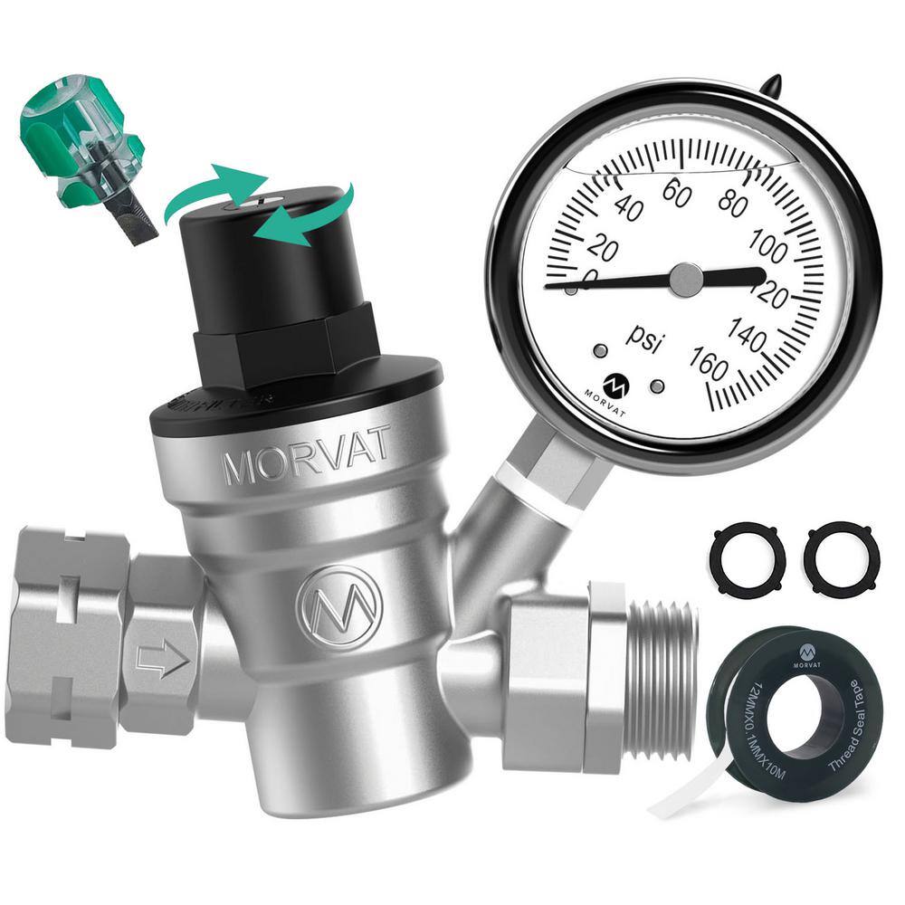Morvat 3/4 in. Nickel-Plated Brass Heavy Duty Water Pressure Regulator ...