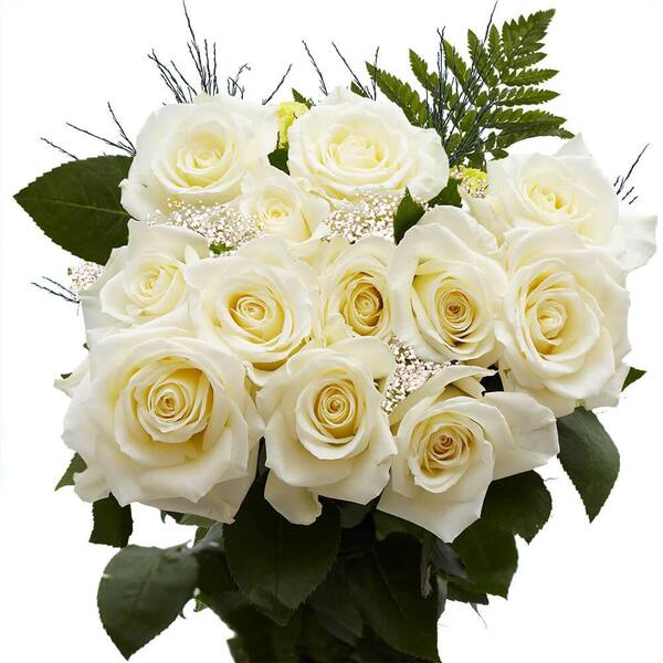 Globalrose 1-Dozen White Roses with Baby's Breath and Green- Fresh ...