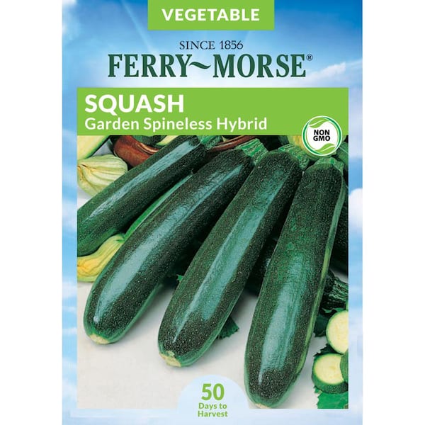 Ferry-Morse Squash Garden Spineless Hybrid Fruit Seed 9522 - The Home Depot