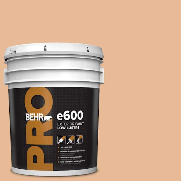 BEHR PRO 5 gal. #280C-3 Fresh Praline Low Luster Exterior Paint PR62005 ...