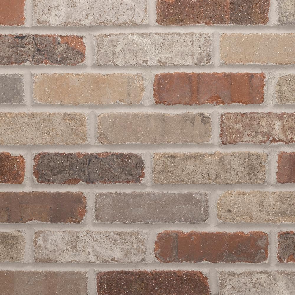 Old Mill Brick 2.25 in. x 7.625 in. x 0.5 in. Cobblestone Thin Brick ...