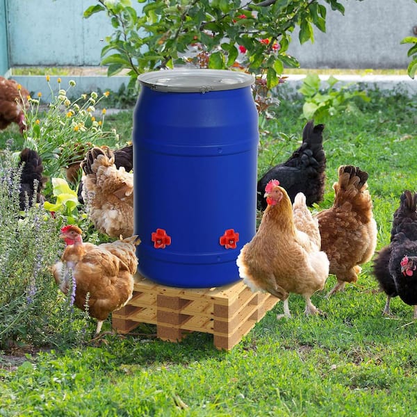 Chicken Nipple Waterer - Chicken Waterer Nozzle | 30X