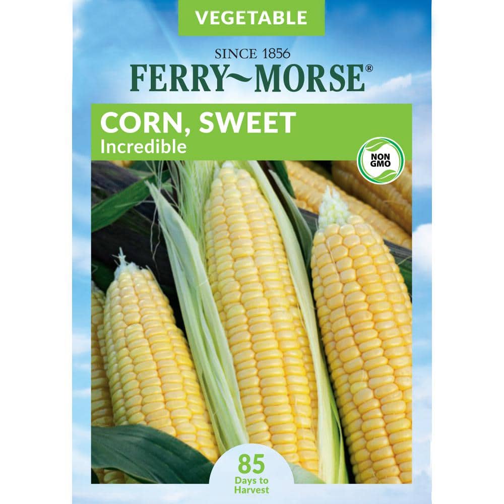 Ferry-Morse Sweet Corn Incredible Fruit Seed 3085 - The Home Depot