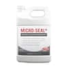 RAIN GUARD Micro-Seal 1 gal. Ready to Use Multi Surface Penetrating ...