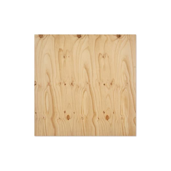 Selex 0.68 in. x 4 ft. x 8 ft. CMPC A/C Plywood MAP902R0002P21 - The ...