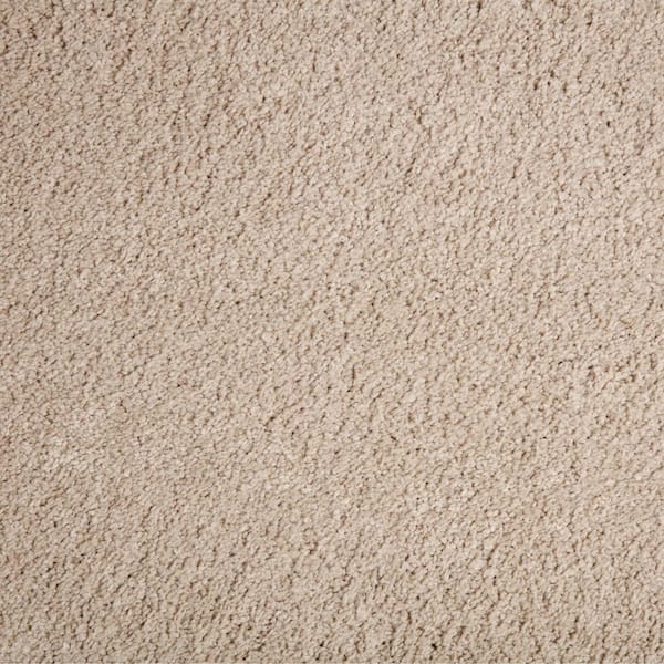 Lifeproof with Petproof Technology 8 in. x 8 in. Texture Carpet Sample ...