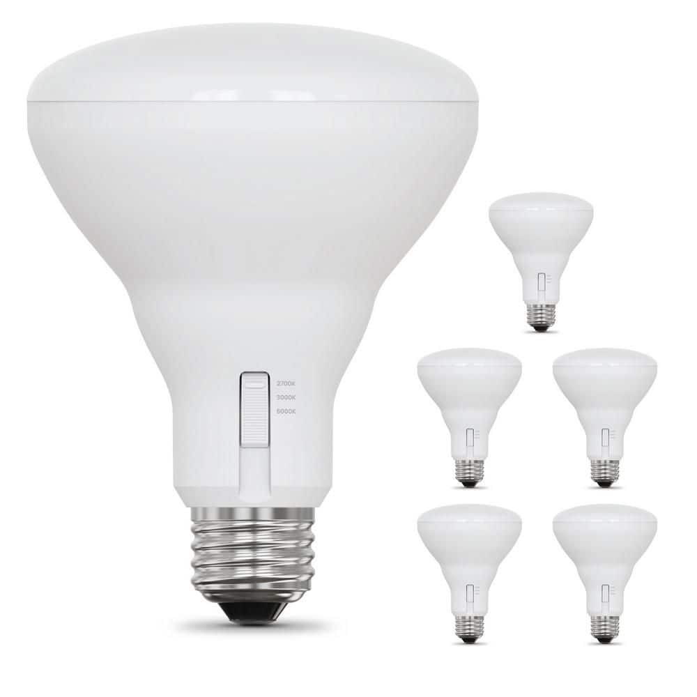 Feit Electric 65-Watt Equivalent BR30 Dimmable 90 CRI E26 LED Light ...