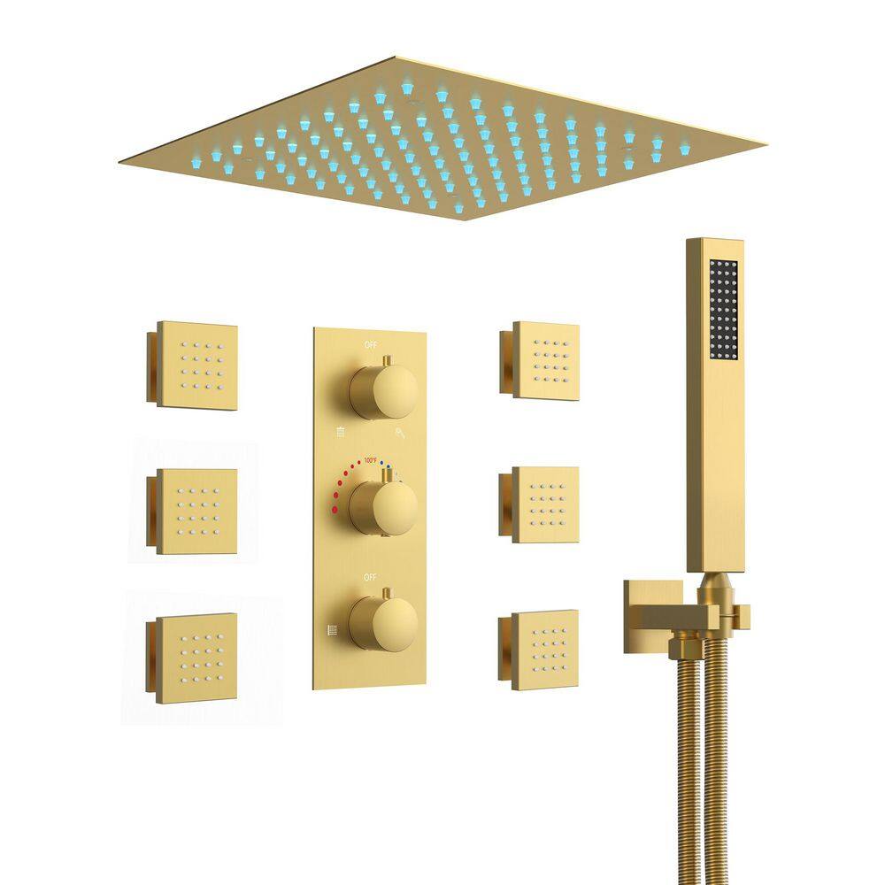 EVERSTEIN 5-Spray Patterns LED Shower System 12 in. Ceiling Mount Dual ...