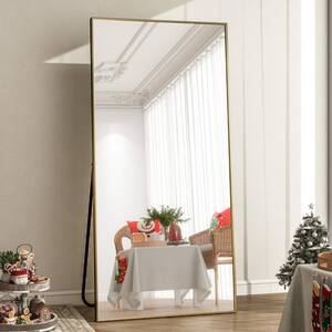 XRAMFY 30 in. W x 70 in. H Rectangular Classic Black Aluminum Alloy ...