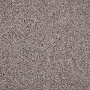 Mohawk 8 in. x 8 in. Texture Carpet Sample - Playful Moments II (M ...
