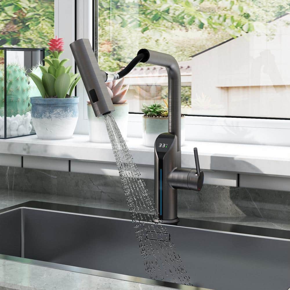 FUFU&GAGA Commercial Modern Single-Handle Faucets for Kitchen Sinks ...