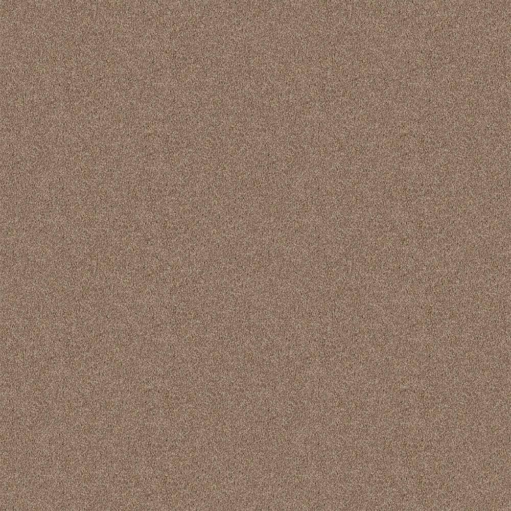 Reviews for TrafficMaster Watercolors I - Toast - Brown 15 ft. 28.8 oz ...