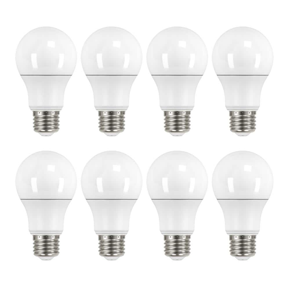 40-Watt Equivalent A19 Non-Dimmable LED Light Bulb Daylight (8-Pack ...