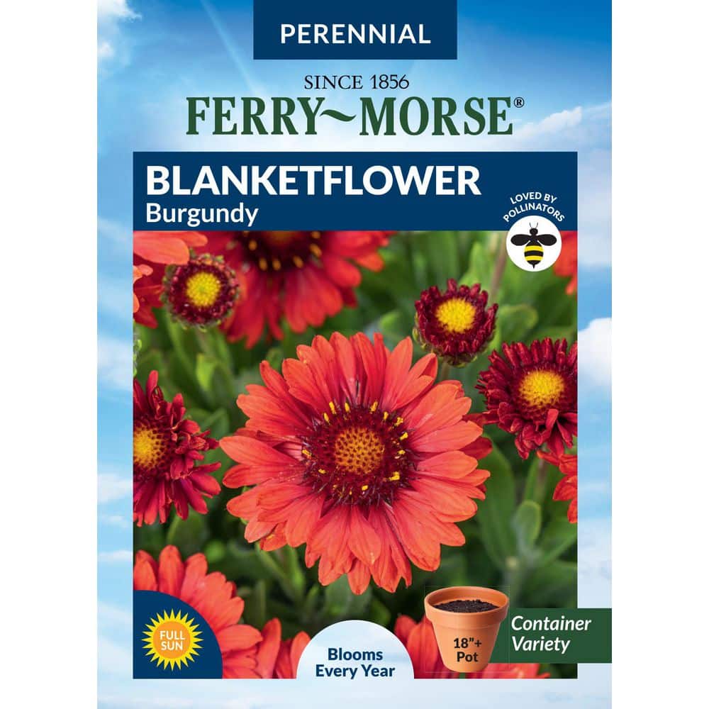 Ferry-Morse Blanketflower Burgundy Flower Seeds 1894 - The Home Depot