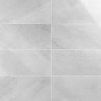 Ivy Hill Tile Blizzard Gray 12 in. x 24 in. Polished Floor and Wall ...
