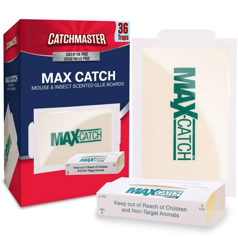 Catchmaster PRO Mouse and Insect Glue Traps (36-Pack) 36MAX-EC-1E - The ...