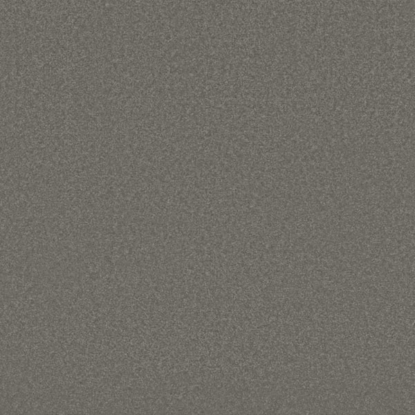 Shaw 8 in. x 8 in. Texture Carpet Sample-Park Royal I-Color Safari SH ...