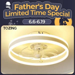 TOZING 21 in. Smart LED Indoor White RGB Modern Low Profile Flush Mount ...