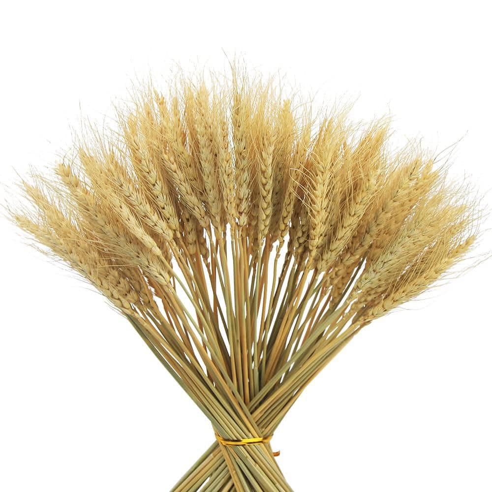 3.27 in Natural Wheat Grass Beige Artificial Plant Dried Wheat Stalks ...