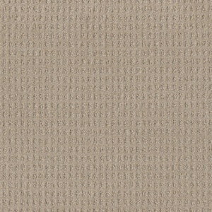 Home Decorators Collection 8 in. x 8 in. Pattern Carpet Sample ...