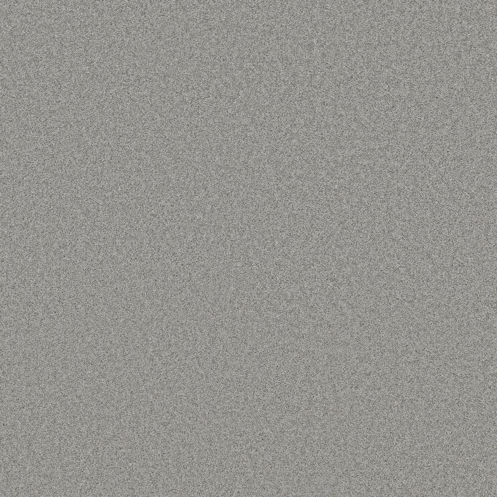 Lifeproof 8 in. x 8 in. Texture Carpet Sample - Coastal Charm II -Color ...